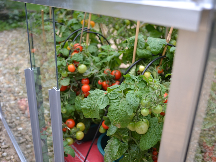 Double Tomato House - Access Garden Products