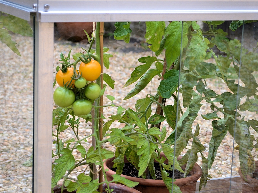 Tomato House - Access Garden Products