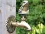 Frog ornamental garden tap brass colour | Access Garden Products