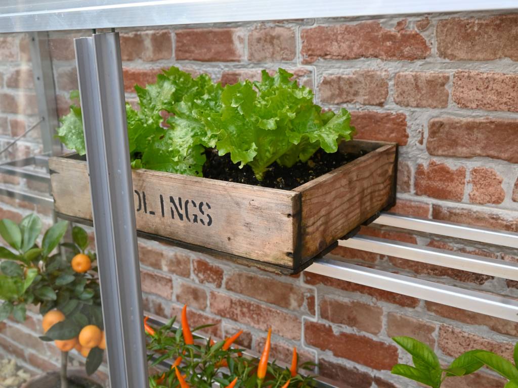 Westminster 3' 4" Small Greenhouse | Access Garden Products