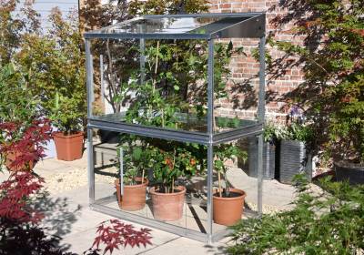 Tomato Greenhouses | Buy Online | Access Garden Products