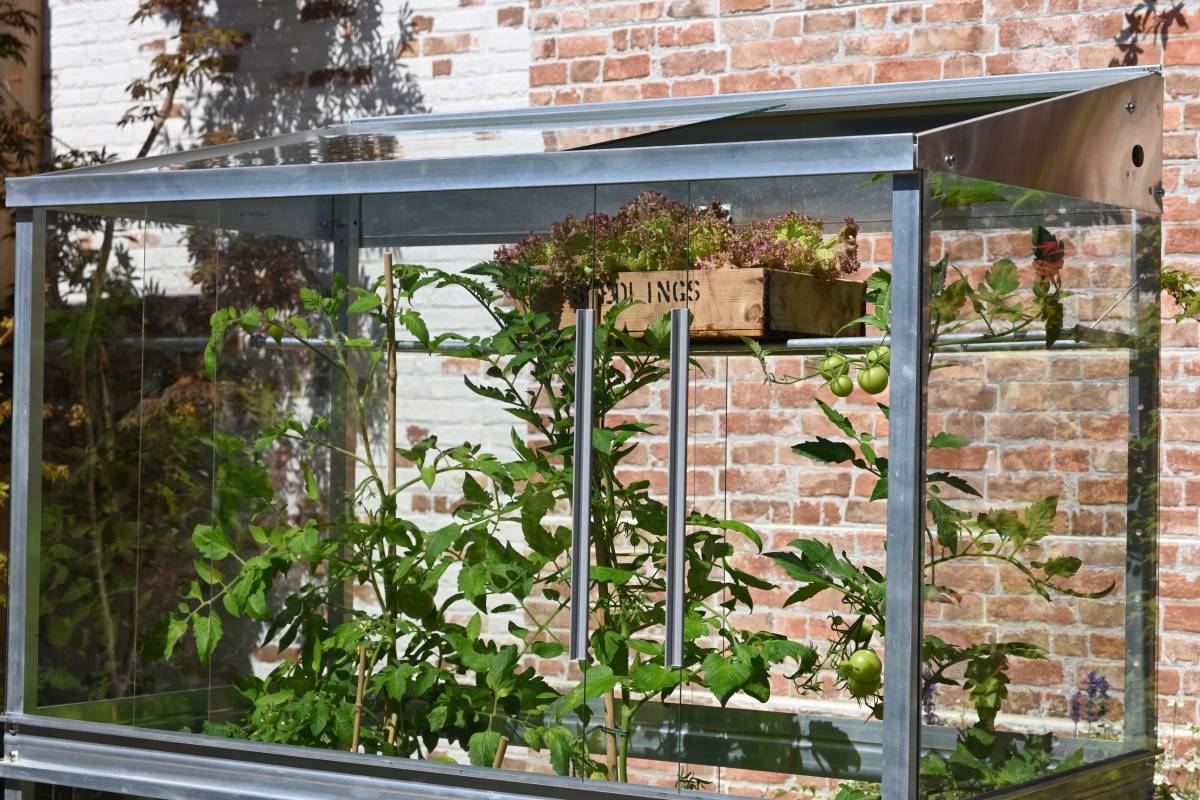 Tomato House | Access Garden Products
