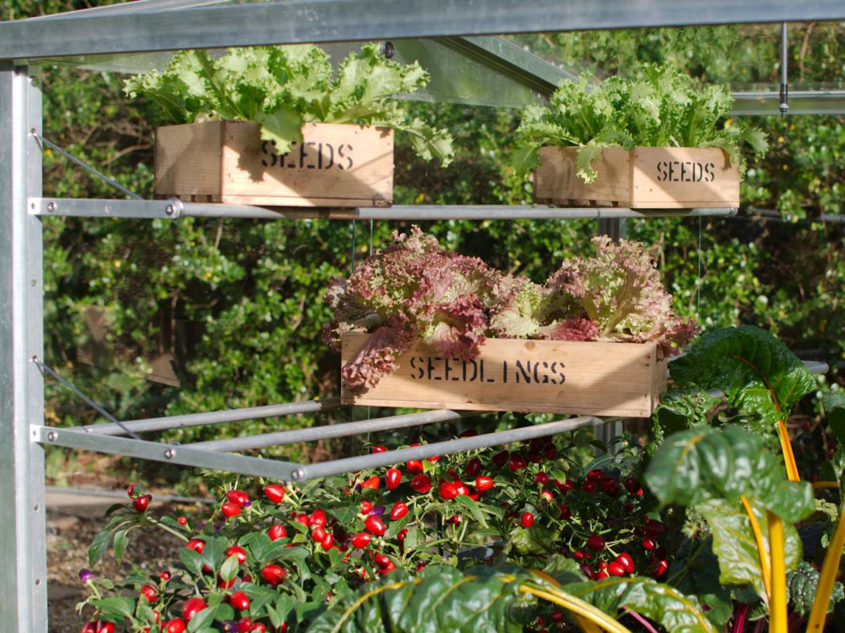 Seed tray shelves | Access Garden Products