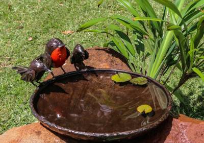 Buy Gardening Presents Today| Access Garden Products