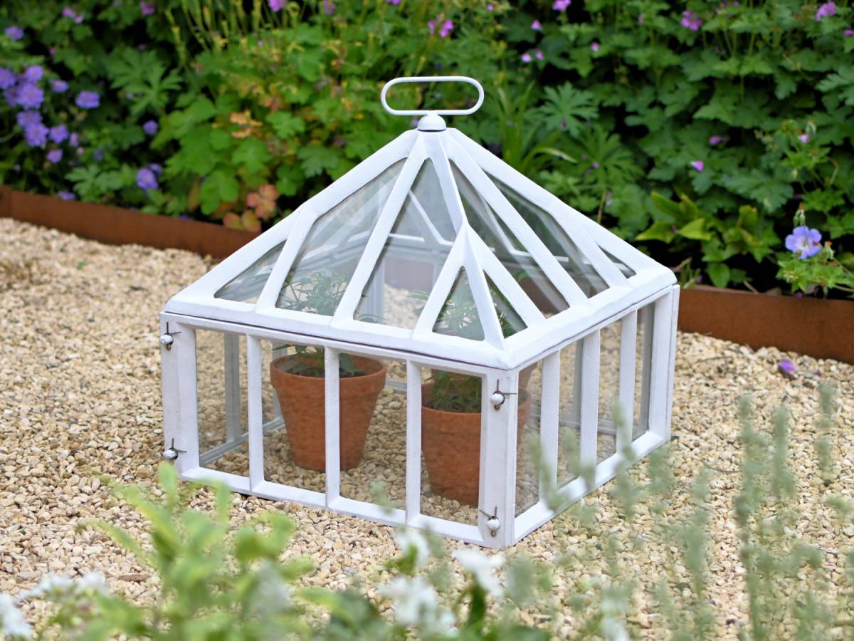 Victorian Cloche | Access Garden Products
