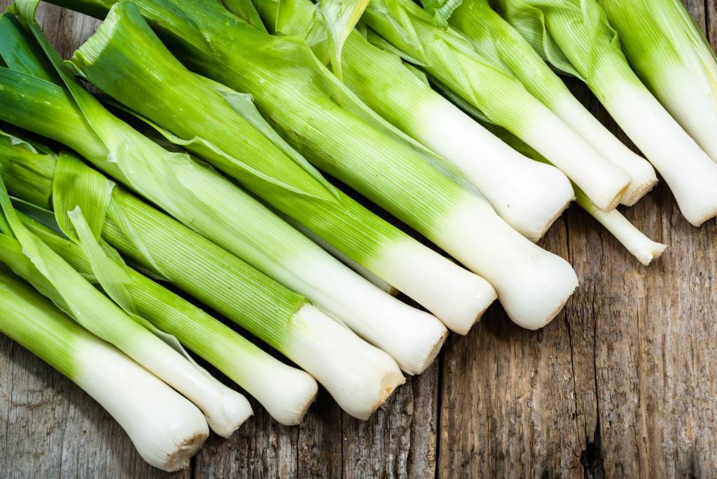 How to Grow Leeks in Containers. A guide for keen Gardeners